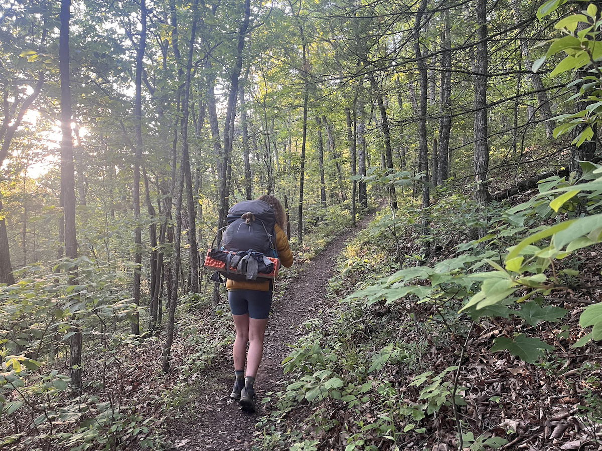 Bear-ly There: Find the Bear Hiding Along the Appalachian Trail